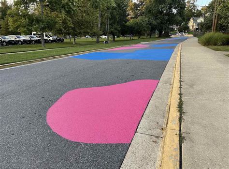 Driskell Park Art Renaming