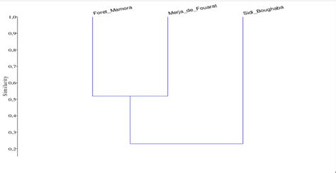 Dendrogram For The Hierarchical Analysis Of The Presence Cluster