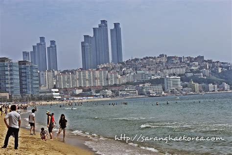 Great Getaway Venue At The Most Popular Haeundae Beach In Busan 해운대