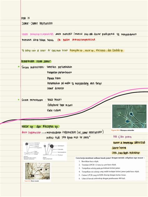 pr9 bbs mikrobiologi pr pdf