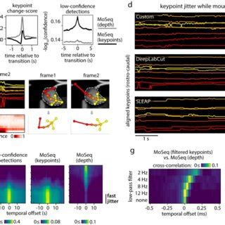 Keypoint Moseq Captures The Temporal Structure Of Behavior A Example