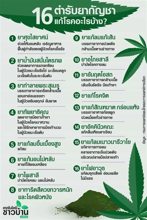 พลิก16ตำรับยาแผนไทย กัญชา โรงพยาบาลหนองหญ้าปล้อง