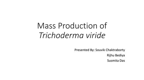 Mass Multiplication Of A Biofertilizer Trichoderma Viride Pptx