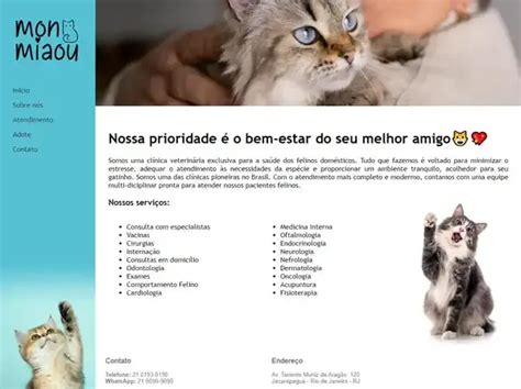 Primeiro Site Html Jaime Silva Github Html Css Dio