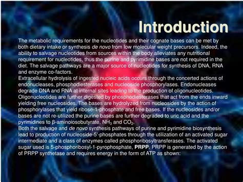 Ppt D Nucleotide Metabolism Nucleic Acid Synthesis Powerpoint