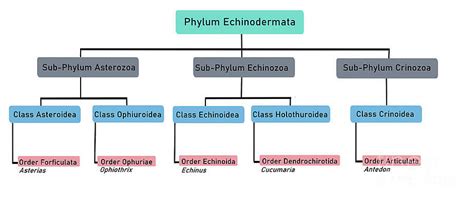 Classification Wall Art For Sale By Science Photo Library