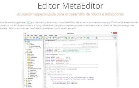 mt4 lenguaje de programación y metaeditor [lección 4]