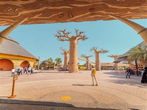 Aventura Park Dubai Unleash Your Inner Adventure