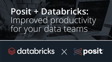 Databricks Posit