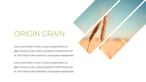 Grain Professional Pptbusinesstemplates