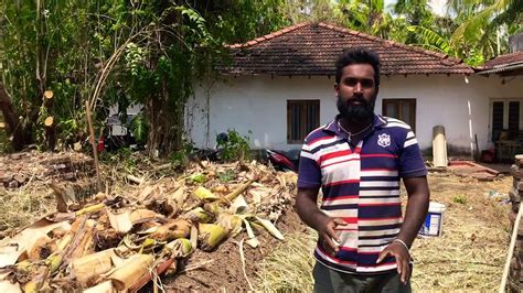 කොම්පෝස්ට් පොහොර නිෂ්පාදනය Youtube