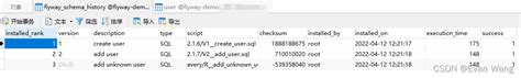 Flyway的快速入门教程flyway使用教程 Csdn博客
