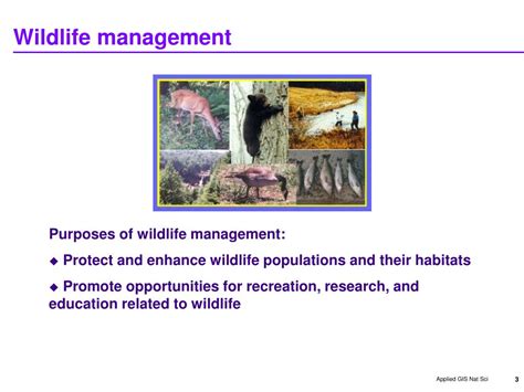 Ppt Gis In Wildlife Modeling Applications Wed Nov 10 Powerpoint Presentation Id 6948269