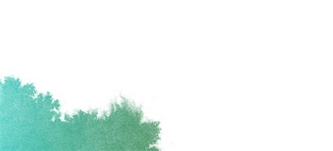 통일비전시민회의 ｜ 대한민국