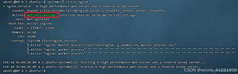 ubuntu上部署vue项目到ngixn中 springboot项目 postgresql数据库 ubuntu部署vue项目 csdn博客