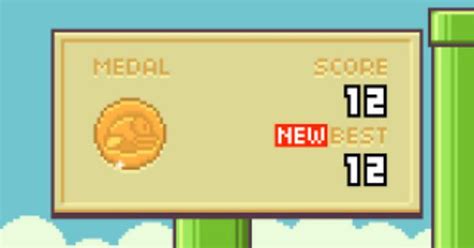 Ladies And Gentlemen The World Record In Flappy Bird Ladies