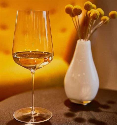 Top 8 Universal Wine Glasses Wine International Association Wia