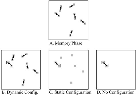 types of spatial configurations used during the probing phase in
