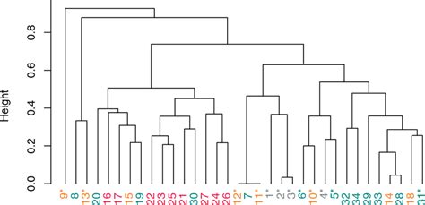dendrogram representing the sampling units clustering based on a