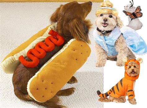 Its Never Too Early To Think About Dog Halloween Costumes