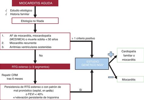 Diagnóstico Y Tratamiento De La Miocarditis Y La Miocardiopatía