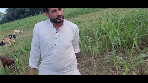 باپ بیٹے سے تنگبیٹا باپ سے تنگ Youtube