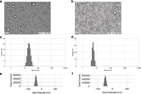 Tem Image Particle Diameter Distribution And Zeta Potential Of Gbp Ne