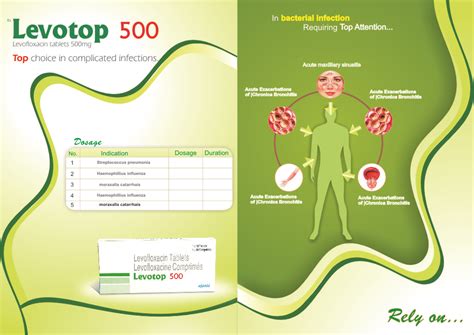 Portfolio Four Page LBL Design