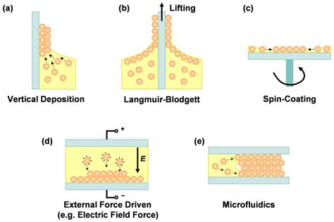 Biosensors Free Full Text From Self Assembly Of Colloidal Crystals Toward Ordered Porous