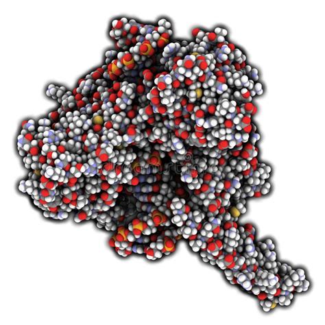 拓扑异构酶I TopoI DNA结合酶 多种抗癌化疗药物的目标 库存例证 插画 包括有 缠结 解开 187933847