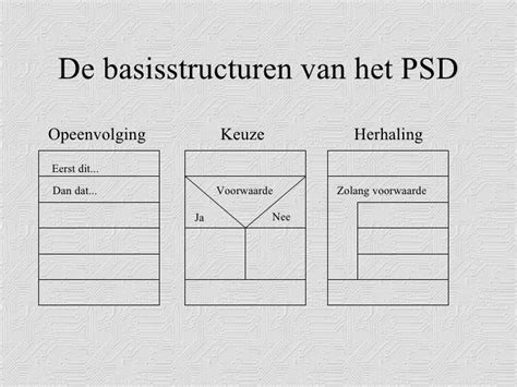 Psd Programma Structuur Diagram