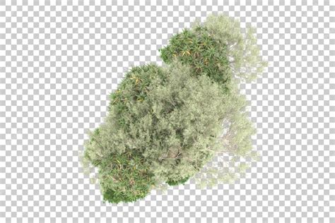 透明な背景の 3 D レンダリング図に分離された熱帯の島 Premium Psd