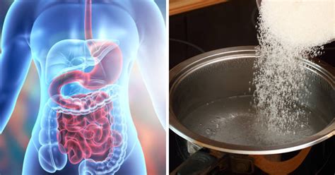 5 Foods That Damage Your Intestines And Gut Health Causes Swelling या