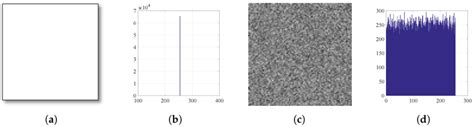 Histograms A White Image B Histogram Of Plain White C