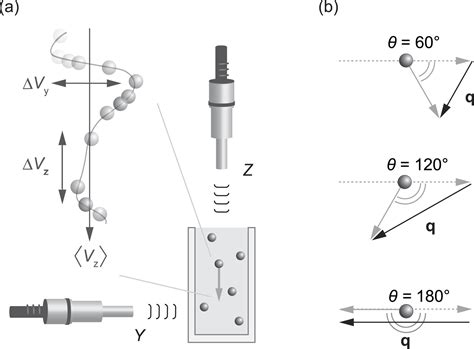 Effect Of Electrostatic Interactions On The Velocity Fluctuations Of