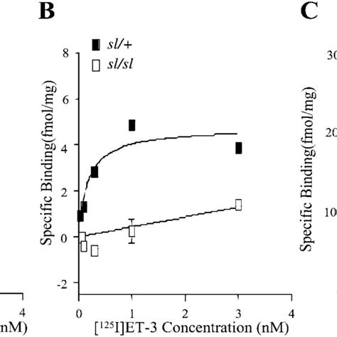 Saturation Binding Curves Were Performed Using [ 125 I]et 3 Incubated