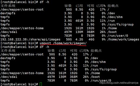 Centos7配置nfs网络文件共享centos7 配置nfs共享 Csdn博客 Centos7配置nfs网络文件共享centos7 配置nfs共享 Csdn博客