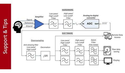 Eeg Amplifier Signal Pipeline Dont Worry About Aliasing
