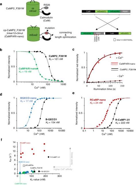 Yusuke Hara On Linkedin High Affinity Tuning Of Single Fluorescent Protein Type Indicators By