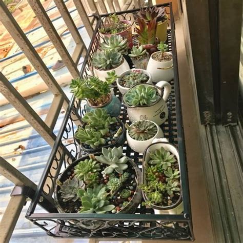 欧式多层阳台栏杆花架悬挂式铁艺多肉吊兰绿萝客厅壁挂花盆架子 虎窝淘