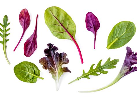 Types Of Leafy Greens