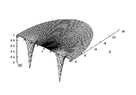 The modulus of the scalar field ϕ ϕ ϕ is shown for the n Download Scientific