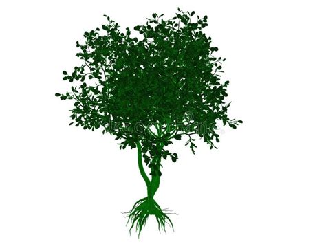 D Rendering Of An Outlined Black Tree With Green Edges Isolated Stock Illustration