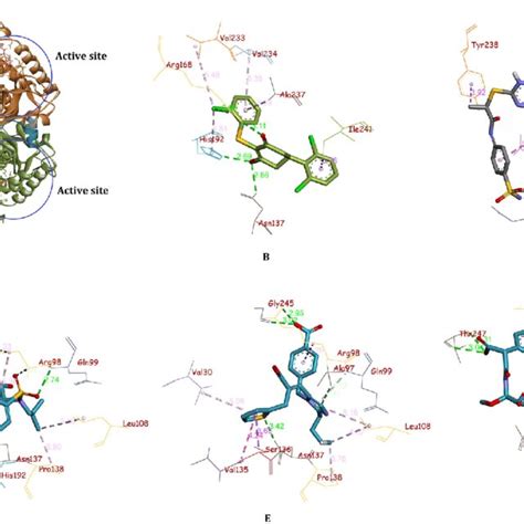 Three Dimensional Diagrams Showing The Crystallographic Structure Of Download Scientific