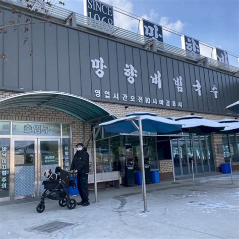 반려생활 애견동반 맛집 연천 망향비빔국수 본점