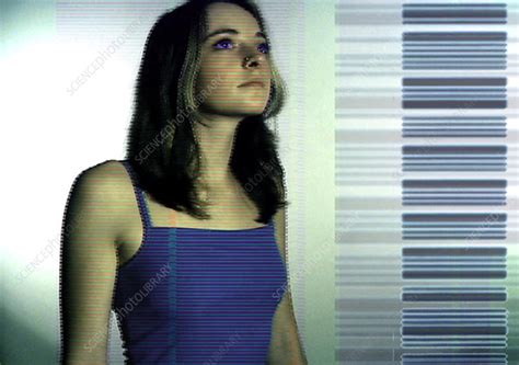 Woman And Bar Code Stock Image P890 0596 Science Photo Library