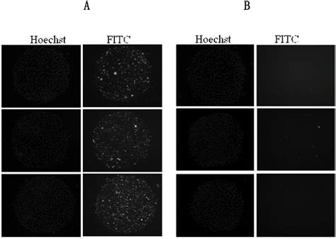 Method For Detecting Influence Of To Be Detected Substance On Active