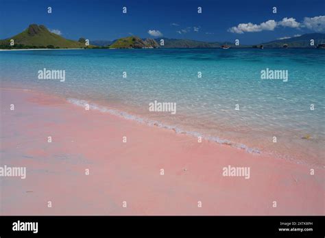 The Best Beach In The World Pink Beach Komodo Island Indonesia