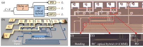 A Schematic Of The Cadd Receiver B Structural Illustration And C Download Scientific A Schematic Of The Cadd Receiver B Structural Illustration And C Download Scientific