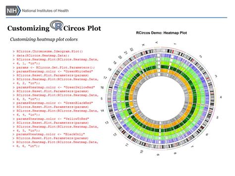 PPT Circos Circos Plot With R PowerPoint Presentation Free Download ID